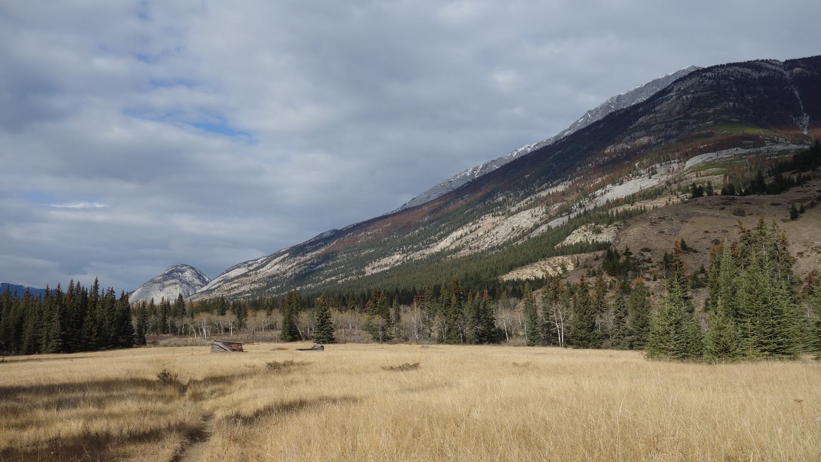 Across the Wilderness: Kanada: Jasper NP - Icefields Parkway, Whistlers ...