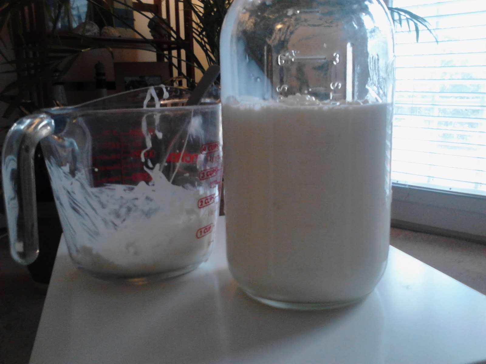 Zen Kefir: Kefir Separation - Why Isn't My kefir Separating?