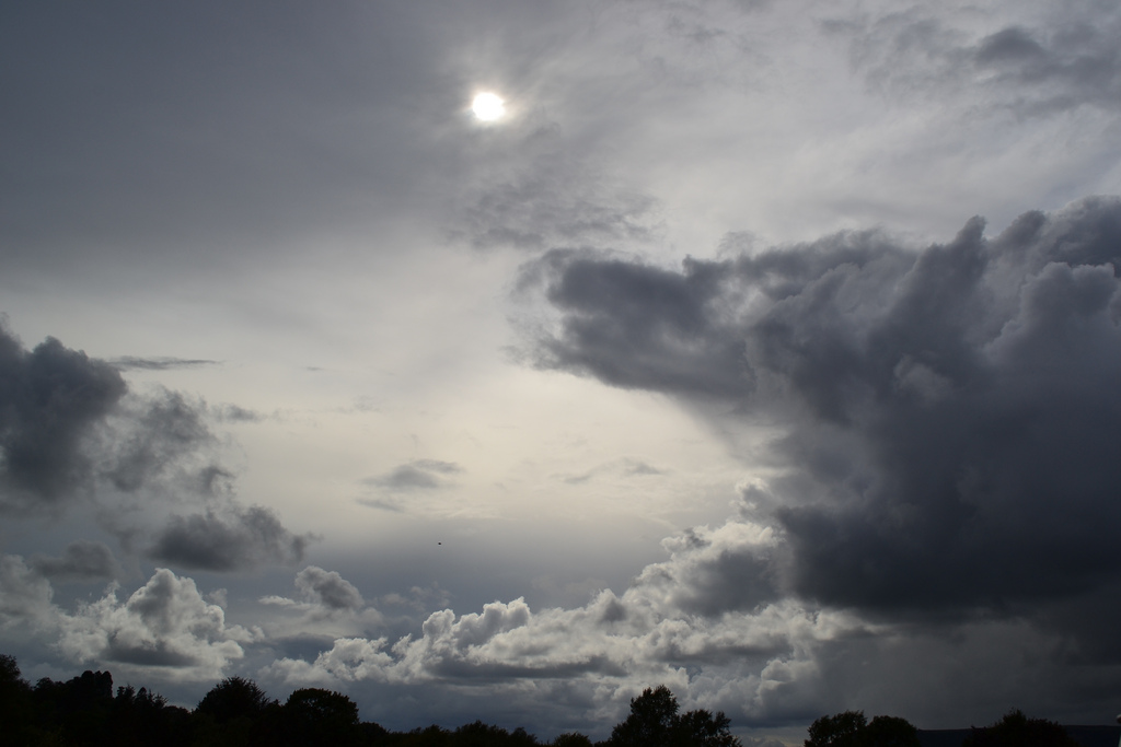 White Wolf : Lucky Photographers Capture Wolf Like Images In The Sky