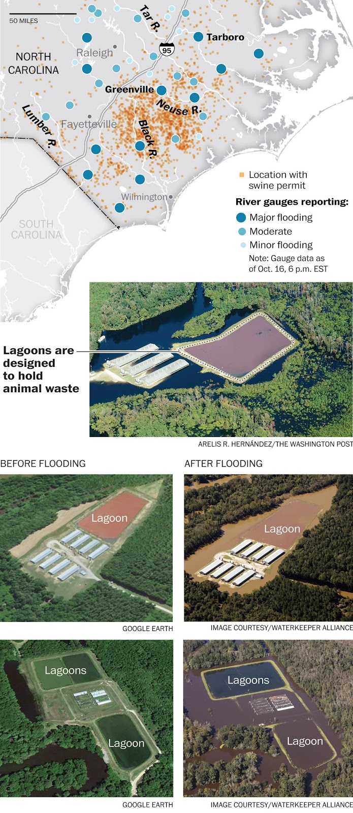 The Rural Blog: Hurricane Matthew flooding leads to renewed scrutiny of ...