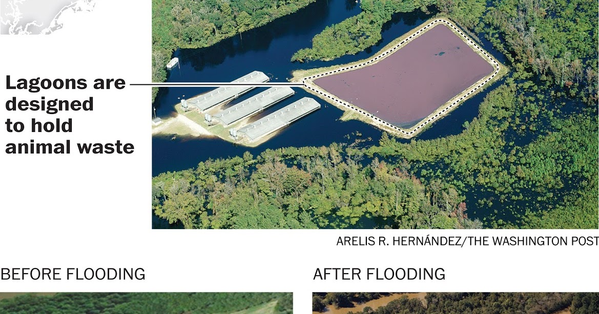 The Rural Blog: Hurricane Matthew flooding leads to renewed scrutiny of ...