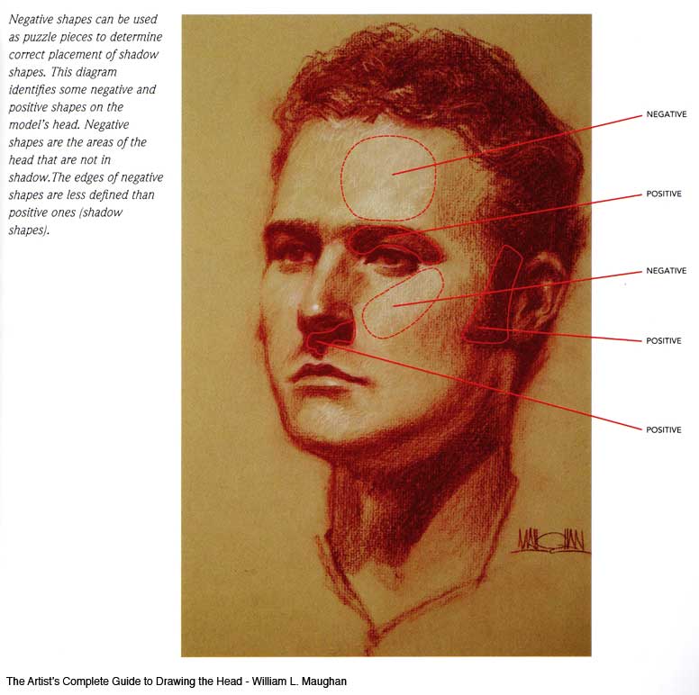 Embody the Body: Positive and Negative Shapes in the Face