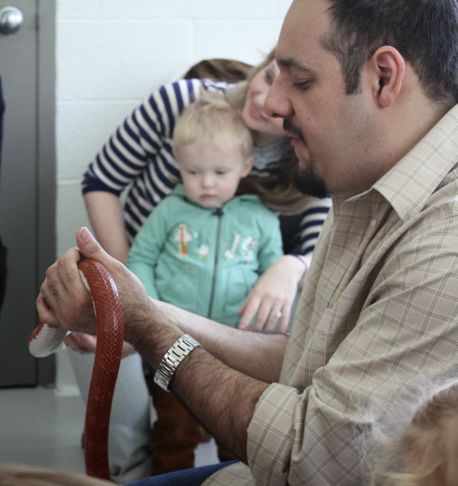 Treasuring Simplicity: Turning Two: Better than the Zoo!