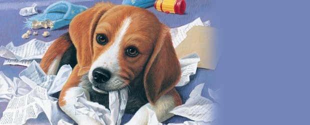 Good Books for Kids Lists! | Reading Level Info by Topic, Lists, Author ...