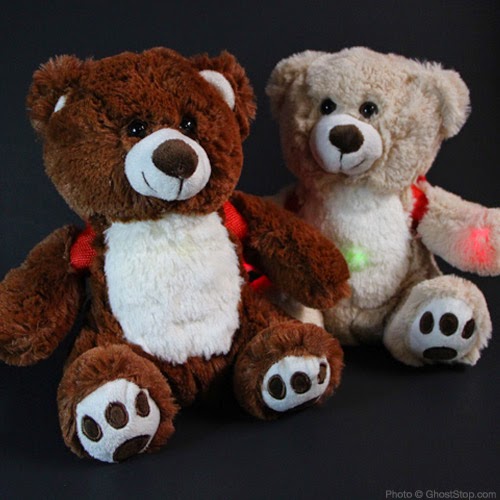 The Paranormal Equipment Blog: The Boo Buddy