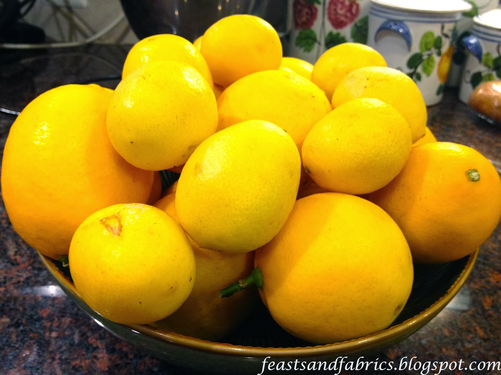 Feasts and Fabrics: Citrus Treasures from Florida