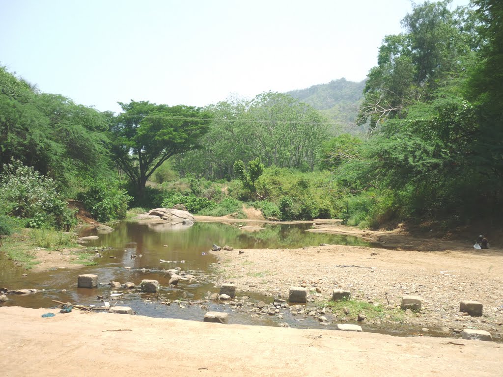 Tamilnadu Tourism: Amirthi Forest & Zoological Park, Vellore