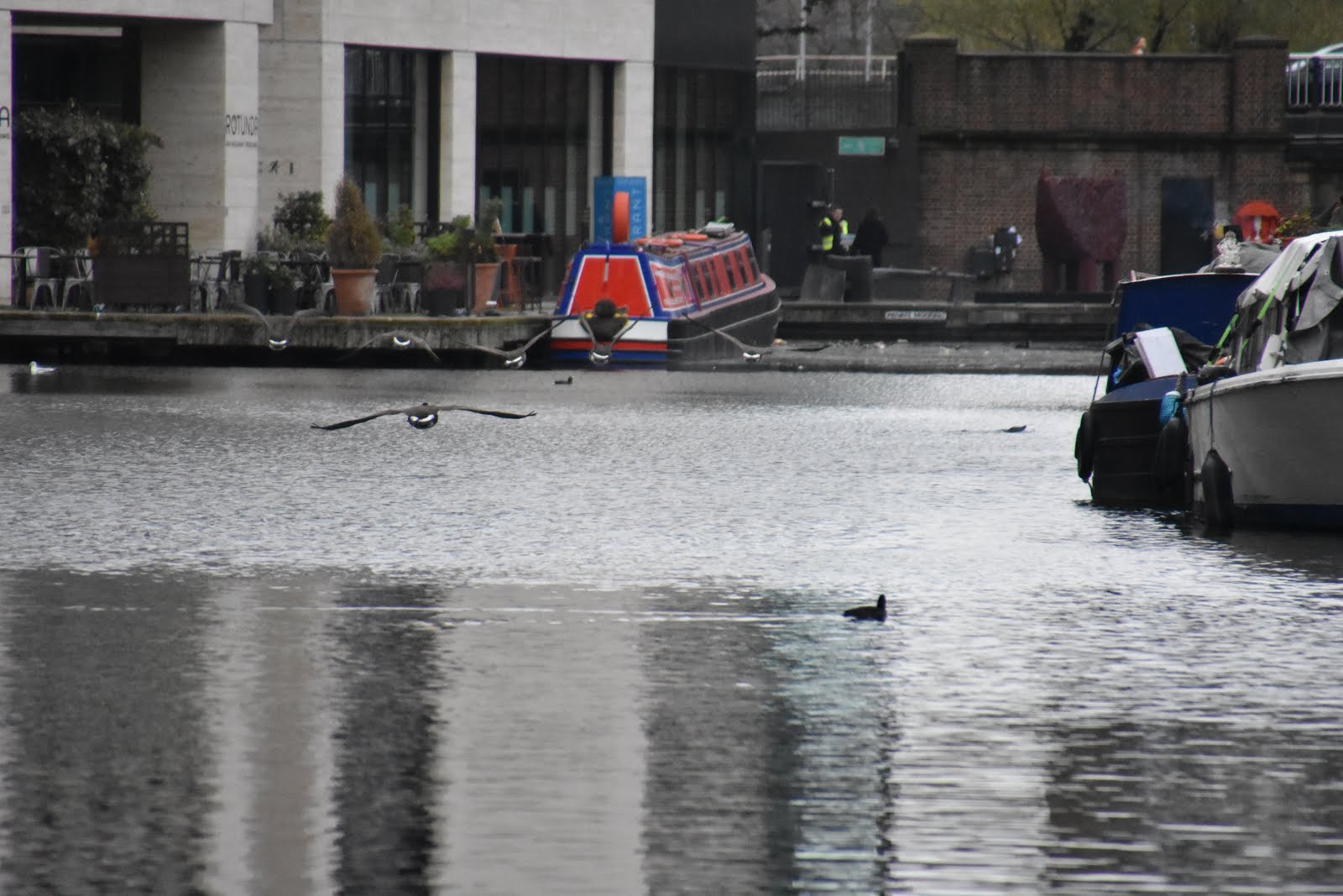 Kaul of the Wild: London Area Profile II: Barnsbury, Islington