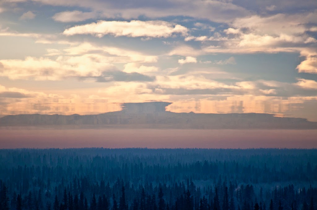 PROWEB: FISA DE LUCRU REFLEXIA TOTALA