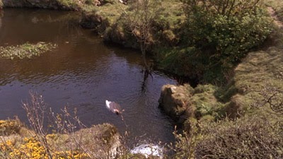 Hyperion to a Satyr: IV.vii. Ophelia's Death - Zeffirelli '90