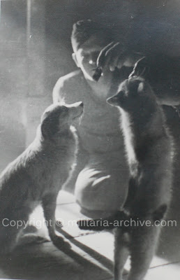 NAZI JERMAN: Foto Kucing (Katze)