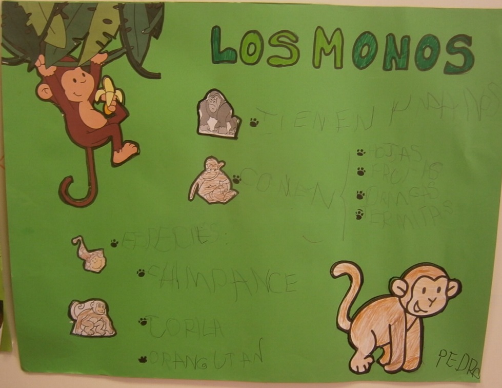 LA CLASE DE MIREN: mis experiencias en el aula: PROYECTO LOS MONOS ...