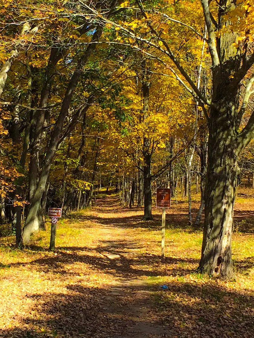 Hiking the Settlers Trail at Wildcat Mountain State Park