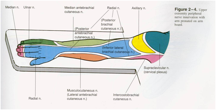 Dentistry and Medicine: Regional Anesthesia Manual—upper extremity blocks