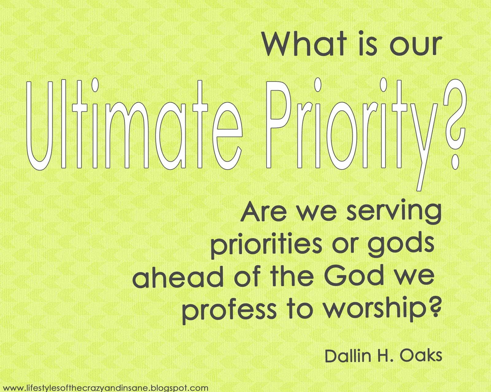 Lifestyles of the Crazy and Insane: No Other Gods