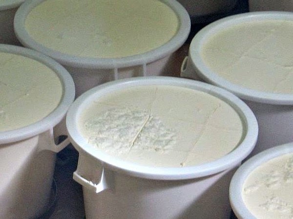 Moi le Fromage Et Vous: Le caillage