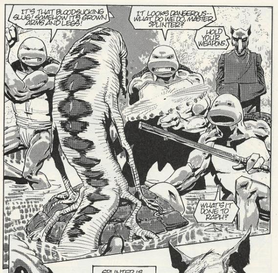 TMNT Entity: TMNT (Vol. 1) #24