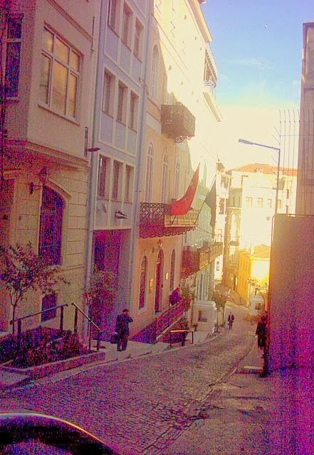 Polonia Ottomanica: Where is the Deputy of Lehistan?