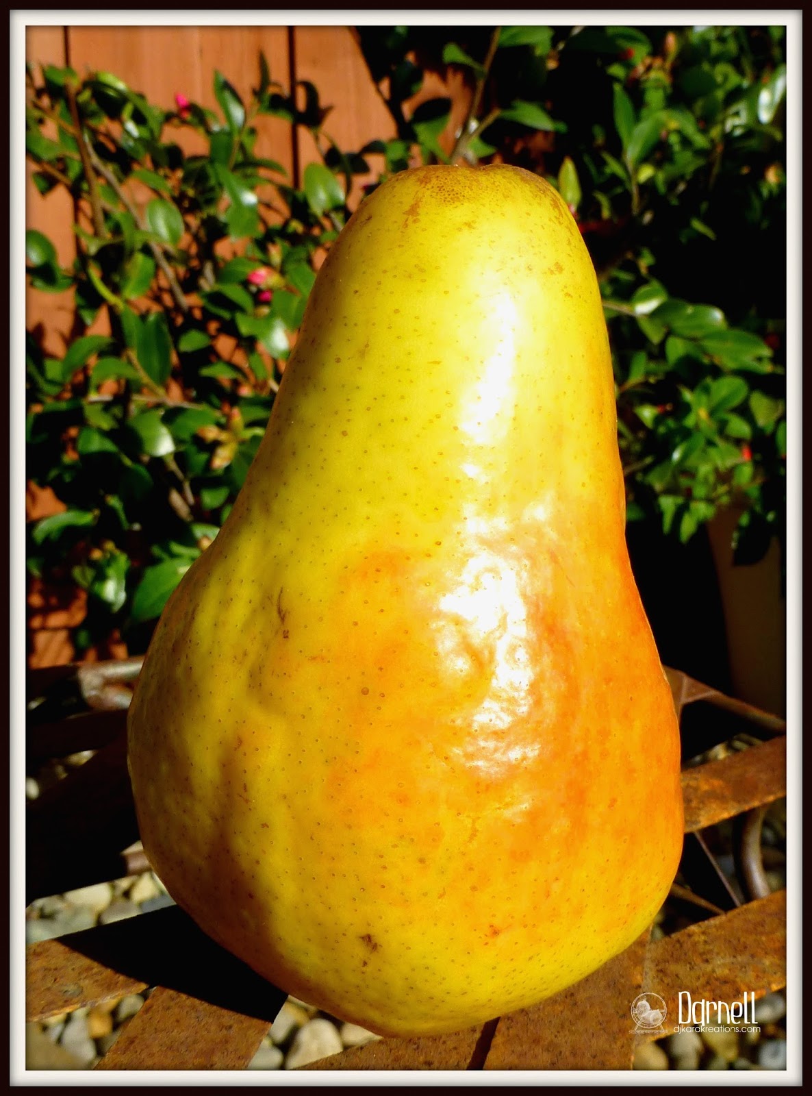 djkardkreations: I Love a Pear and a Party!