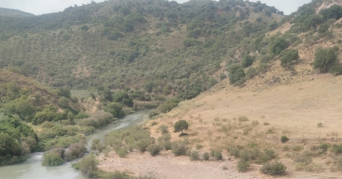 Memorias de Pesca: LA JUNTA DE LOS RIOS