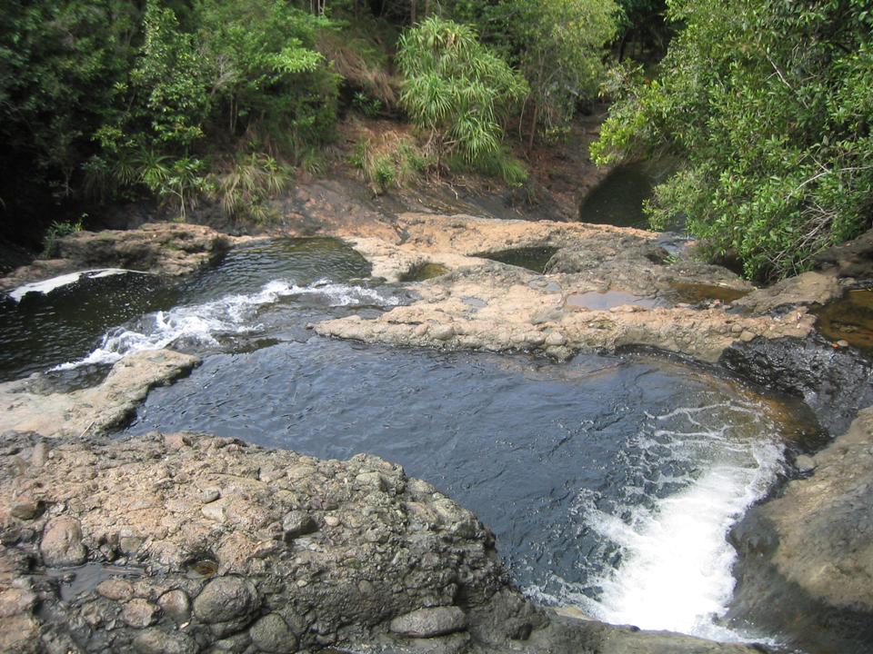 Aklan Trotter: Luscious Tangalan...