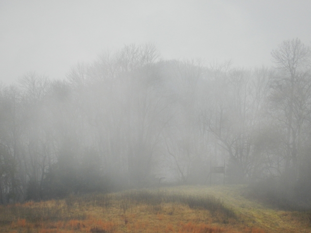 Blue Country Magic: Creepy Fog