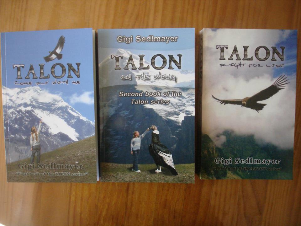 Talon: The first 3 covers for the TALON series.
