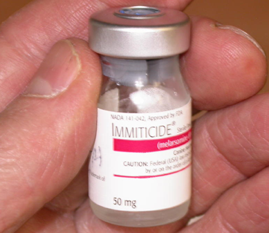 Care Animal Hospital: Heartworm Disease is alive and well in Colorado ...