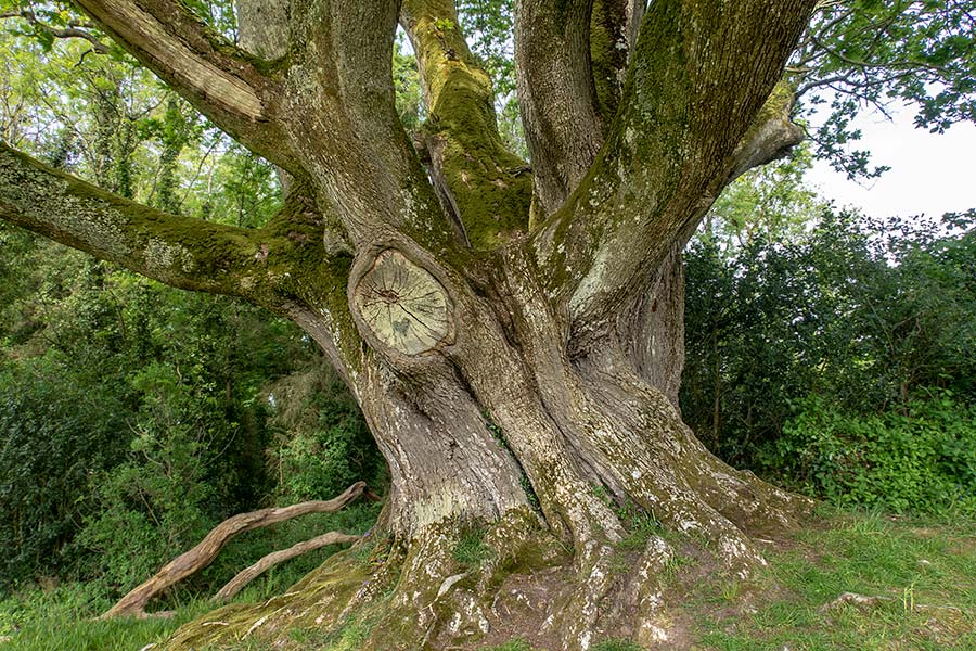 Bob's Photos: May 19-23 Ireland Vacation Post 3 of 3