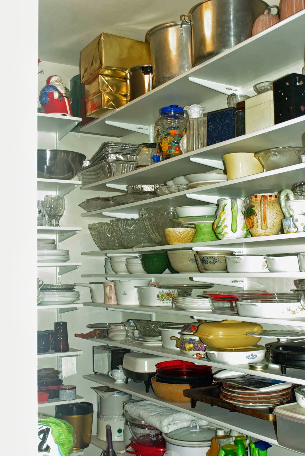 Busy Bee Organizing: Dish Pantry Organization