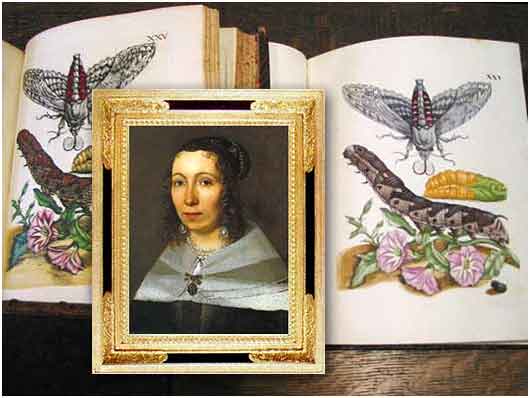 Maria Sibylla Merian 1647-1717 φυσιοδίφης - Η ΔΙΑΔΡΟΜΗ