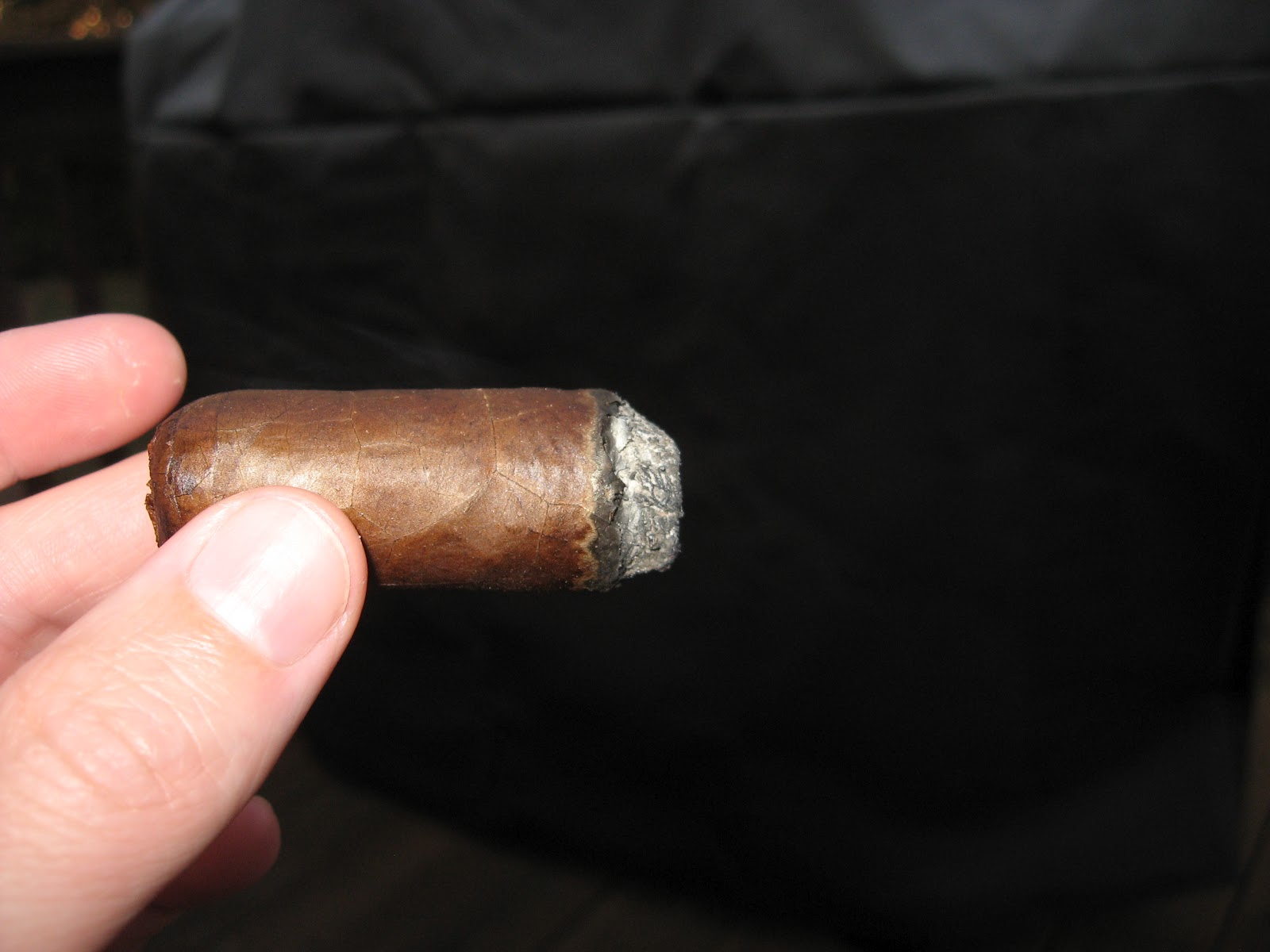 The Asheville Smoking Room: CAO Concert