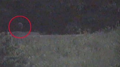 National Paranormal Association: Most Authentic Gettysburg Ghost Video ...