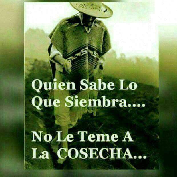 Aprendiendo la Sana Doctrina: QUIEN SABE LO QUE SIEMBRA, NO LE TEME A ... Aprendiendo la Sana Doctrina: QUIEN SABE LO QUE SIEMBRA, NO LE TEME A ...