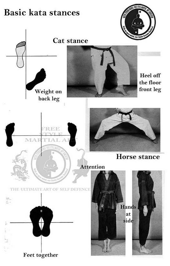 free" style martial art: Basic kata stances