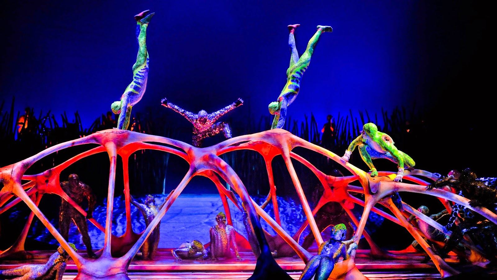 Το Cirque du Soleil βγαίνει στο δρόμο! - Το Μοσχάτο Μου-ΝΕΑ ΠΟΛΗ ...