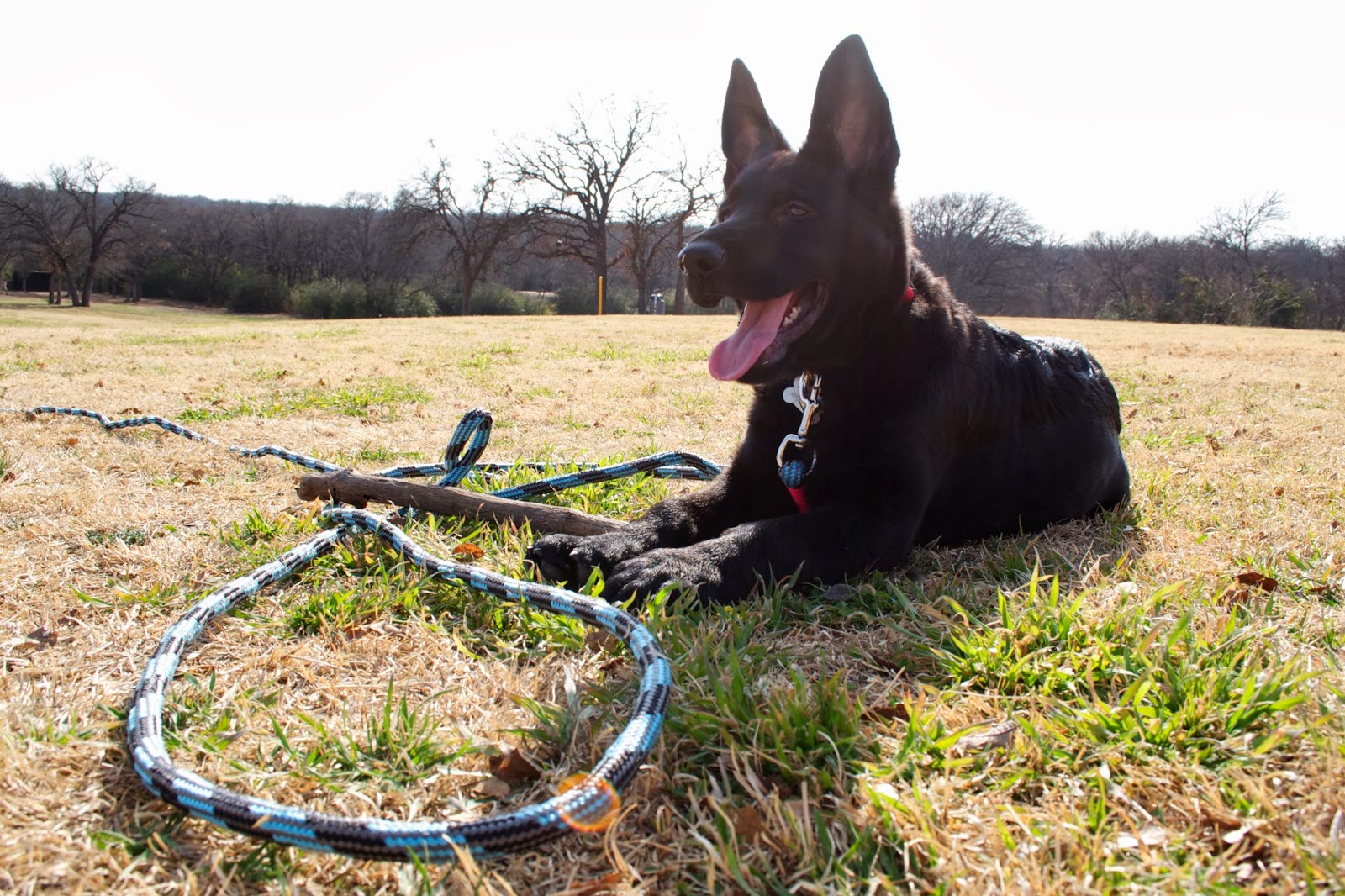 50' Long Lead Tutorial | Living With a Landshark