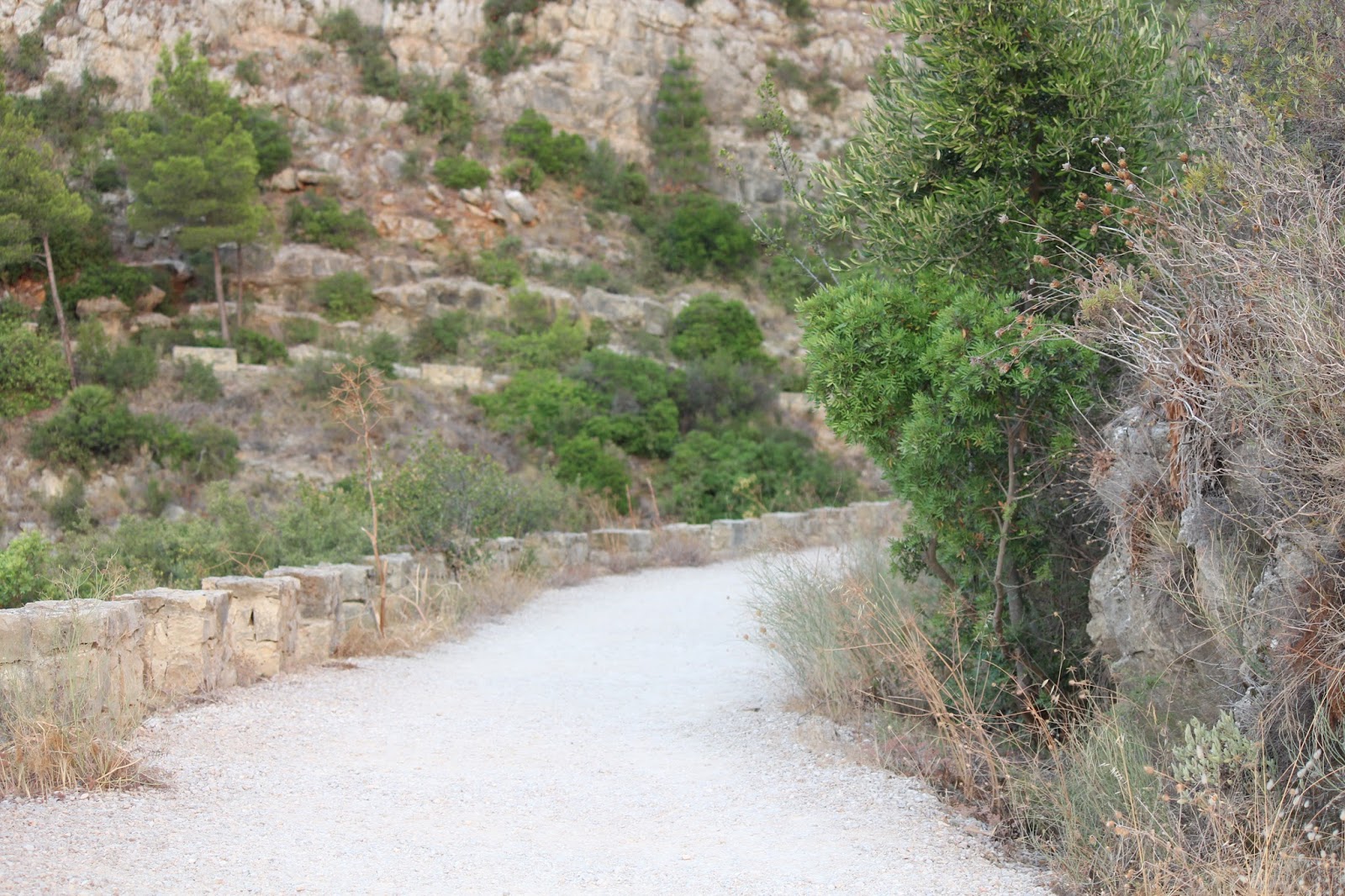Historia y Genealogía: Parque Natural del Mongó. Denia, Alicante