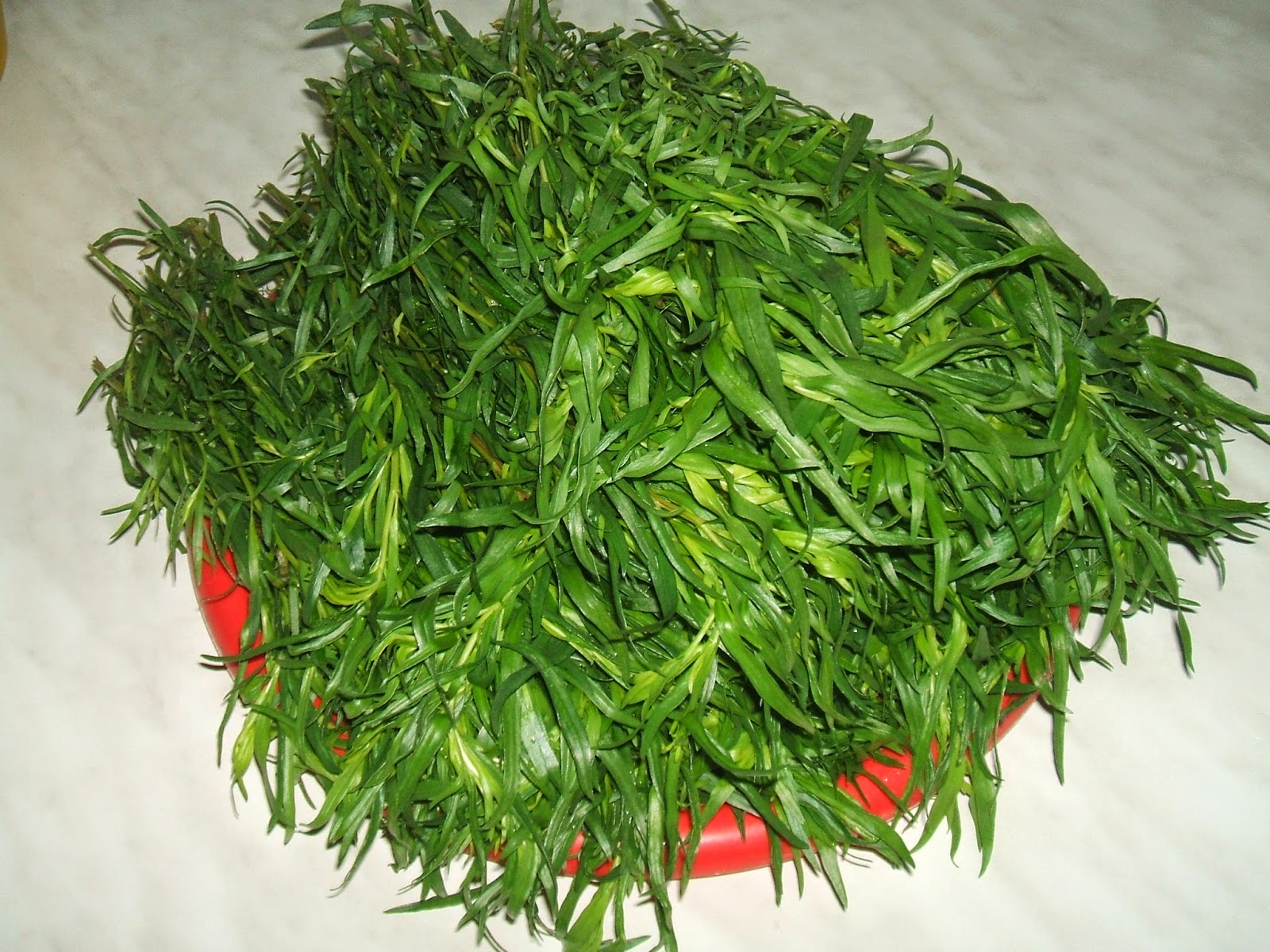 Tárkonyecet vagy ecetes tárkony | Egészséges ételek - egészségesen ...