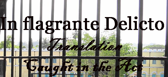 In flagrante delicto Meaning, Caught in the Act ~ How to Style