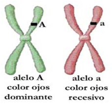 REVISTA LABBLOGGER CLINICO: 2012-05-06