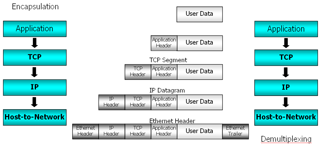 TCP/IP : Transfer Control Protocol/Internet Protocol