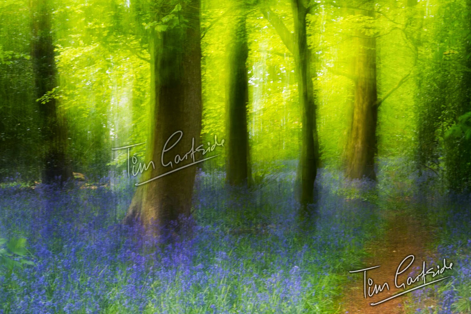 Tim Gartside Photography Workshop Blog