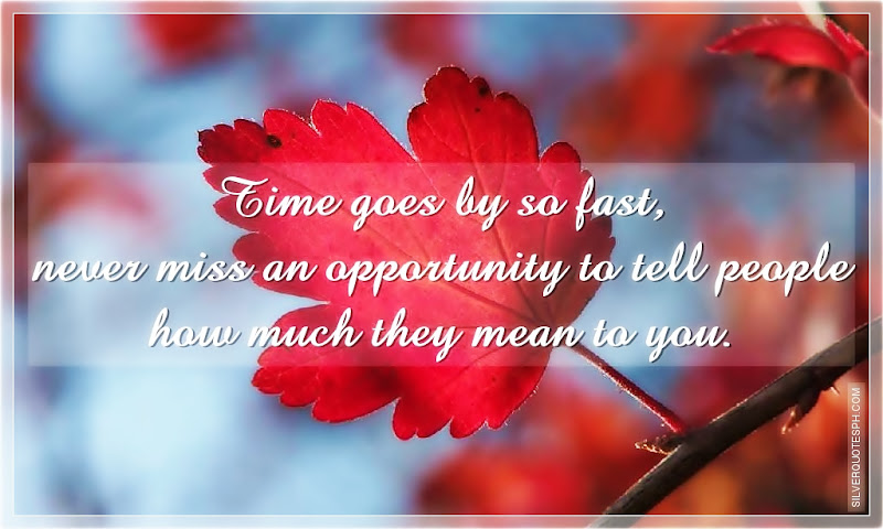 Time Goes By So Fast - SILVER QUOTES