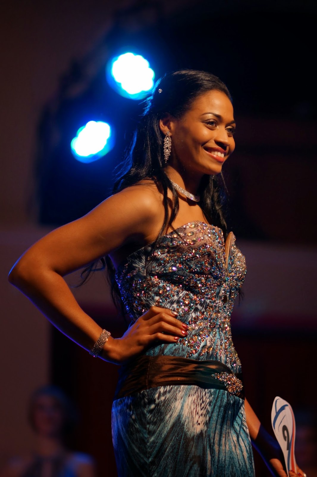 Les élections de miss en Bretagne et dans l'Ouest, par Pierre Boucher: 2014