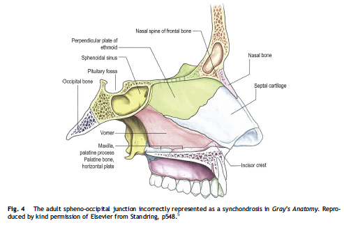 Argumentos a favor e contra o movimento da sinostose esfeno-occipital ...