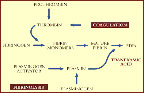 Medwallet - Dr.Manpreet's Blog: Tranexamic acid