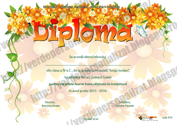 verde personalizat: Diploma scolara model S016