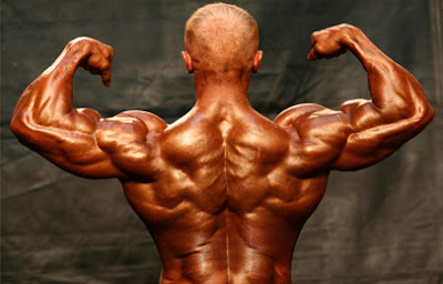 Bodybuilding Pic,s & Tips ( POWER HOUSE ): Body Builders Back View