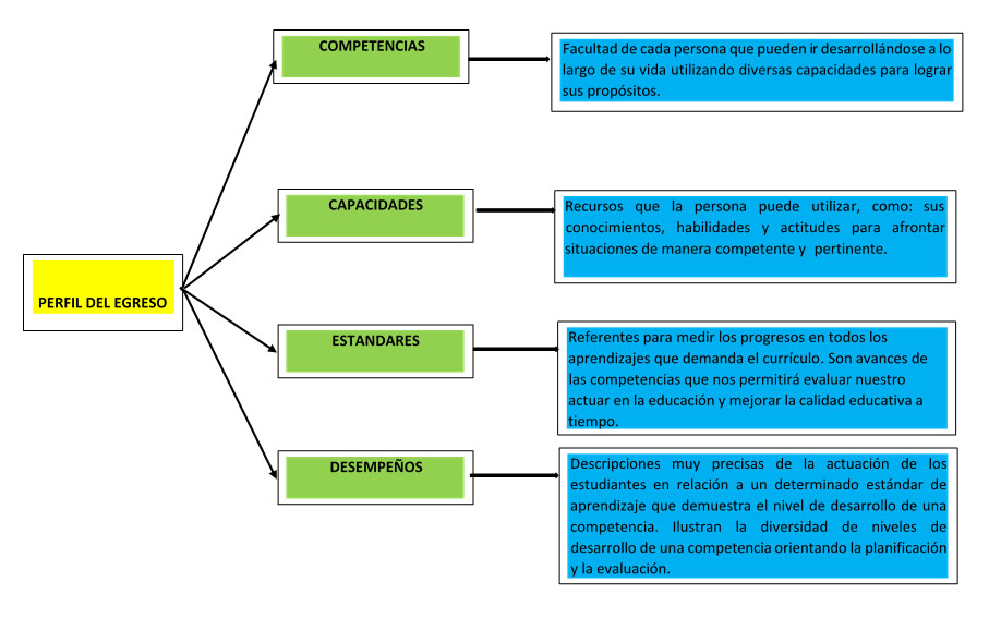 DEFINICIONES DEL PERFIL DE EGRESO